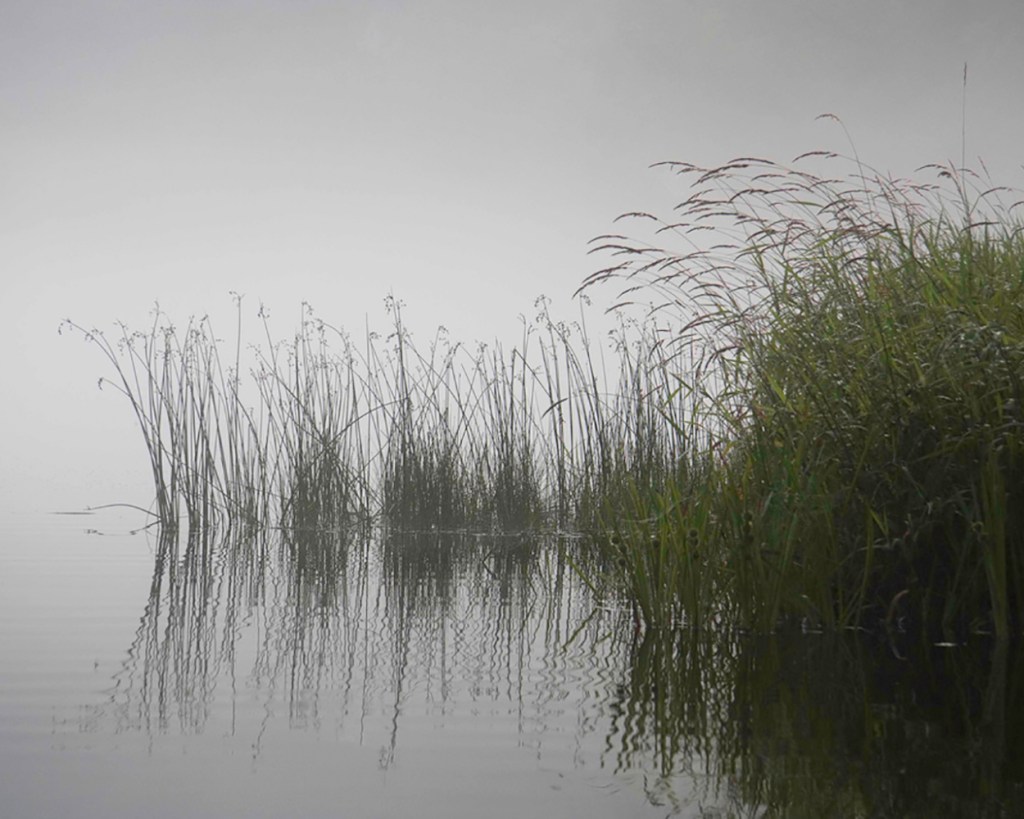 Photo Gallery – Lower Farmington River and Salmon Brook Wild & Scenic