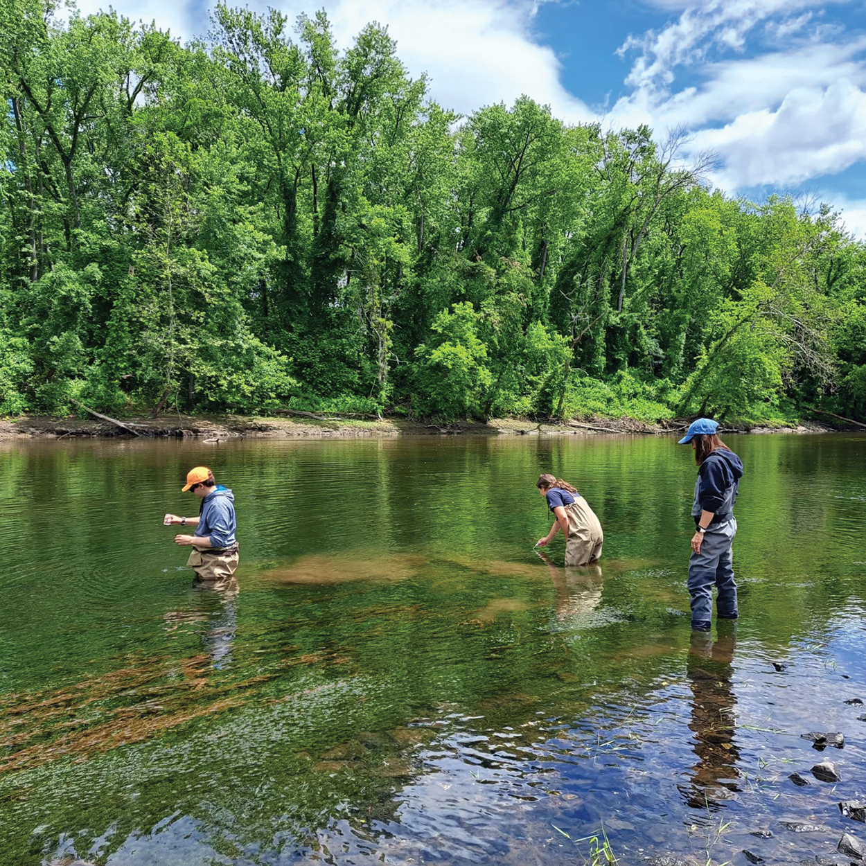 Water Quality: Bacteria – Lower Farmington River and Salmon Brook Wild ...