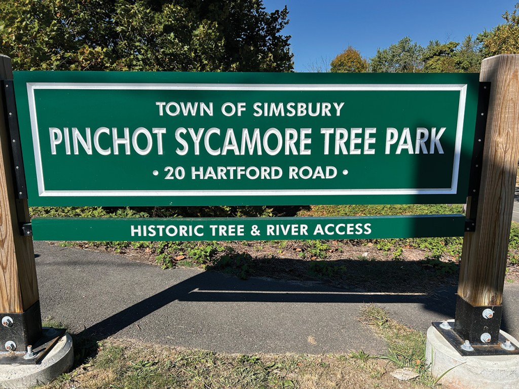 Pinchot Sycamore Park Invasive Control – Lower Farmington River and ...