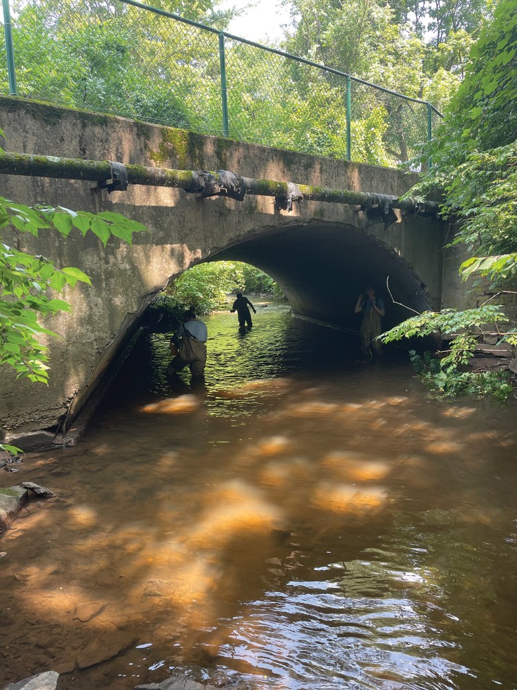Stream Crossings – Lower Farmington River and Salmon Brook Wild & Scenic