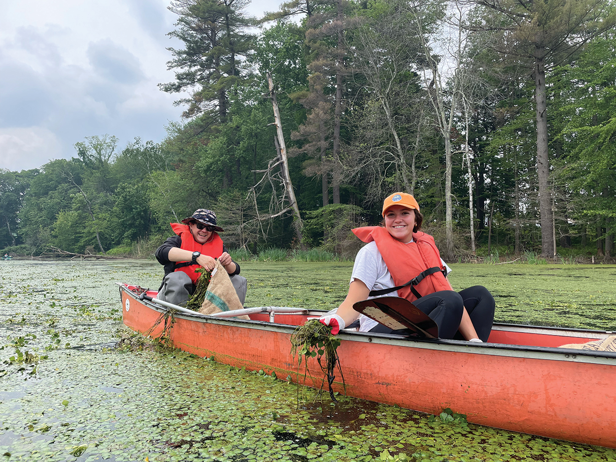 Invasive Water Chestnut Pulls – Lower Farmington River and Salmon Brook ...